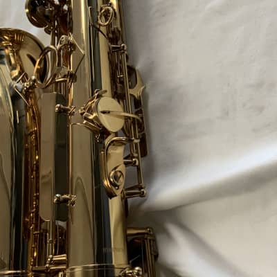 Castle NEW YORK ALTO SAXOPHONE Band Instruments (8447) | Reverb