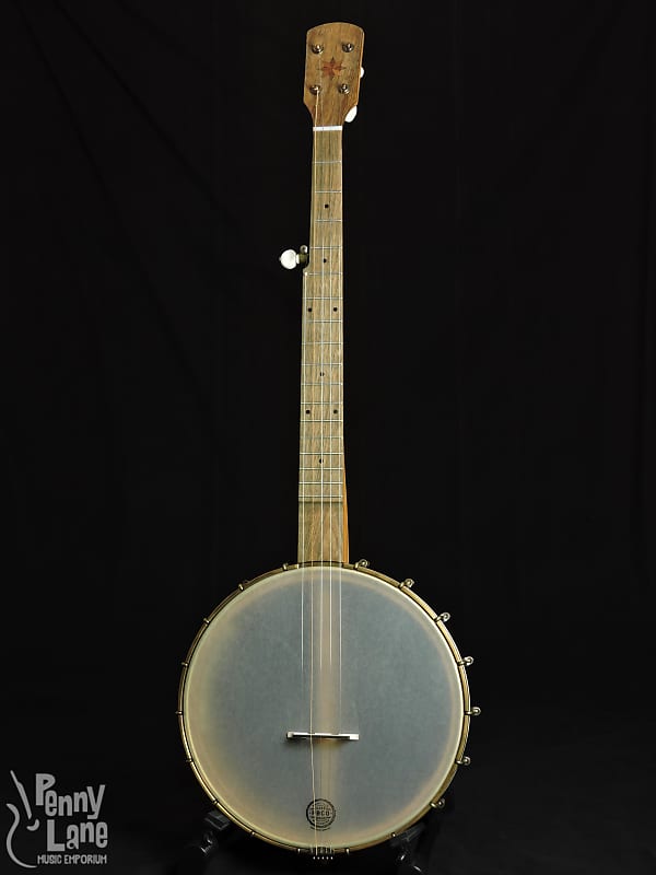 Pisgah Appalachian 5-String Open Back Banjo with Case | Reverb