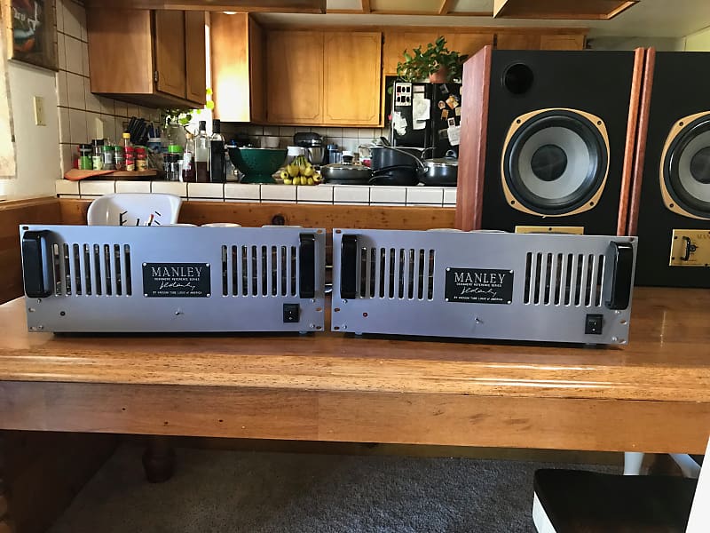 2 - Manley Labs Manley Reference 100/200 Watt Monoblock 1993 | Reverb