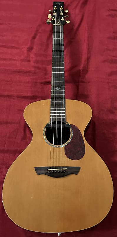 Vintage Gordon Giltrap Signature Electro-Acoustic - | Reverb UK