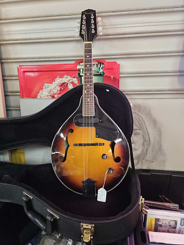 Fender Electric mandolin with hsc. | Reverb