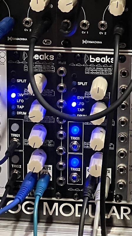 Mutable Instruments Beaks - Peaks Clone 2024 - Black | Reverb