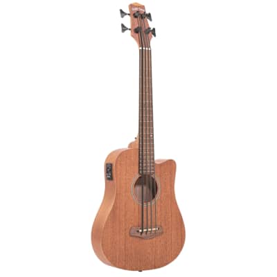 KAY K2B Bass mid to late 1960s Very Good Condition Gold | Reverb