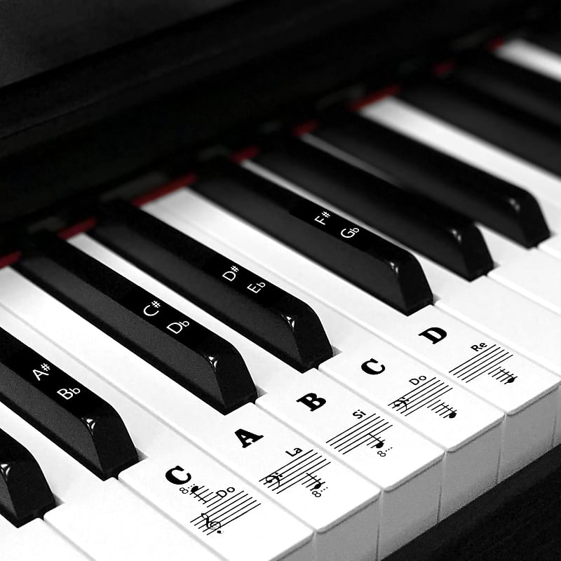 Piano Keyboard Stickers for 88/61/54/49 Key, Piano Notes | Reverb