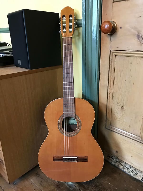 Raimundo 118 | Reverb