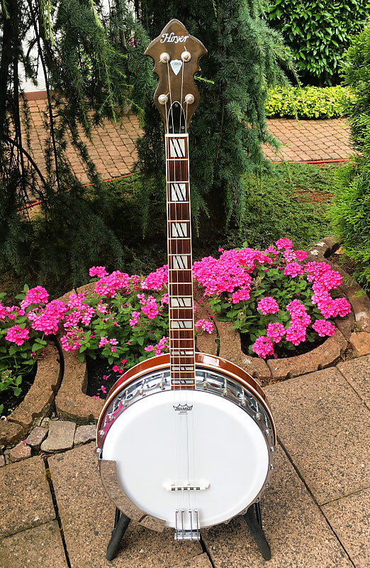 HOYER Tenor Banjo vintage 1970ies - brown | Reverb