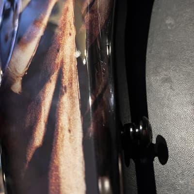 DBZ DBZ Venom GX thoracic 2010 - Custom | Reverb