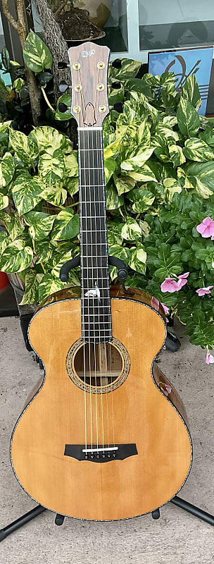 Williams Kiwi 2005 - Taraire/Kauri Acoustic Guitar w/ | Reverb