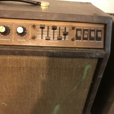 Vintage Acoustic Control Corp Model 164 Guitar Tube Amp | Reverb