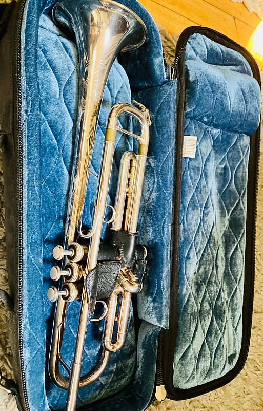 S.E. Shires Model B 2011-2013 - Silver | Reverb