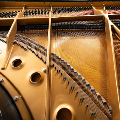 Baldwin 7' Model F Grand Piano | Satin Ebony | SN: 102100 | | Reverb