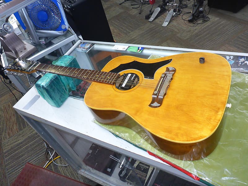 Hohner PROJECT : HG12 Contessa 12 String Modified | Reverb