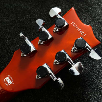 ESP Edwards E-KT-135S/QM 2014 - Tiger Eye - EXCELLENT | Reverb