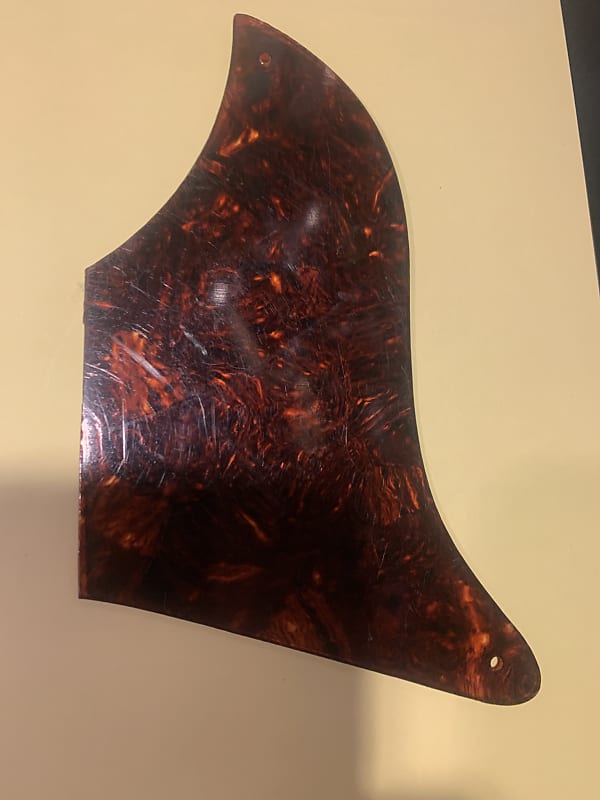 Hofner Scratchplate 60-70's Turtoise | Reverb