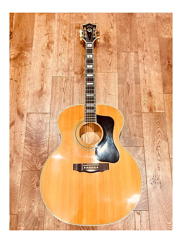 GUILD F-50 de 1976 | Reverb