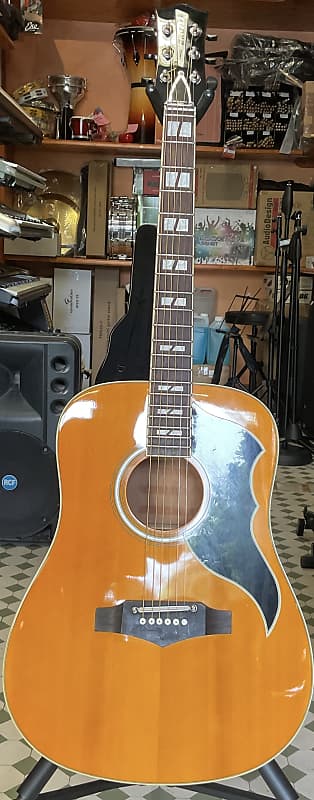 Eko Ranger VI VR Natural Top Stained | Reverb