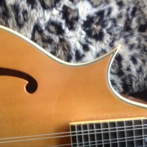 Aria Early 70's Vintage Mandolin Made In The Famous Matsomoku | Reverb