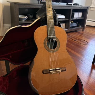 Yulong Guo Hauser model / Cedar Top | Reverb