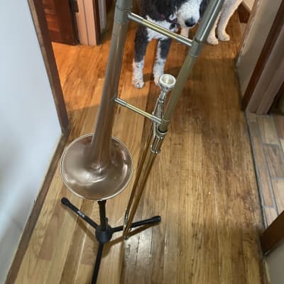 Bac Artist 2022 - Red Brass | Reverb