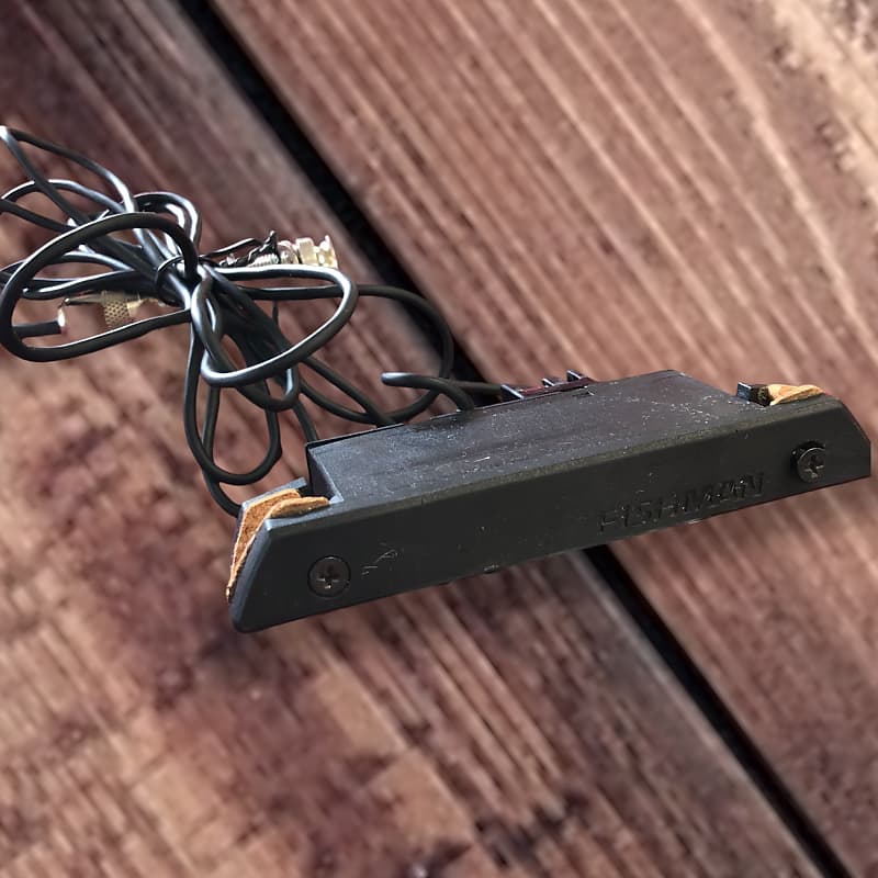Fishman Rare Earth active soundhole pickup--single coil | Reverb