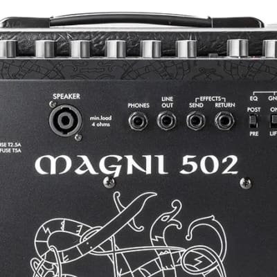 EBS Model MA502 Magni 502 2 x10" Bass Combo new | Reverb