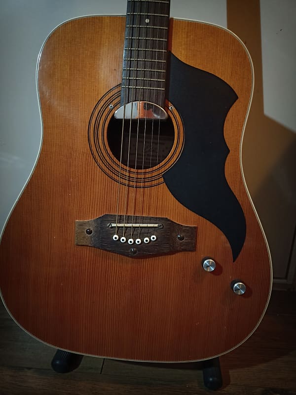 Eko Ranger 1970 | Reverb