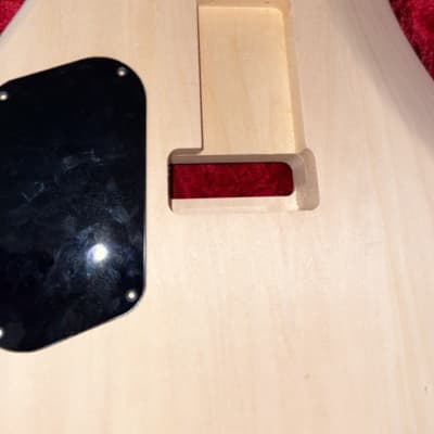 kramer 5150 build kit with accurate body and guitar case | Reverb