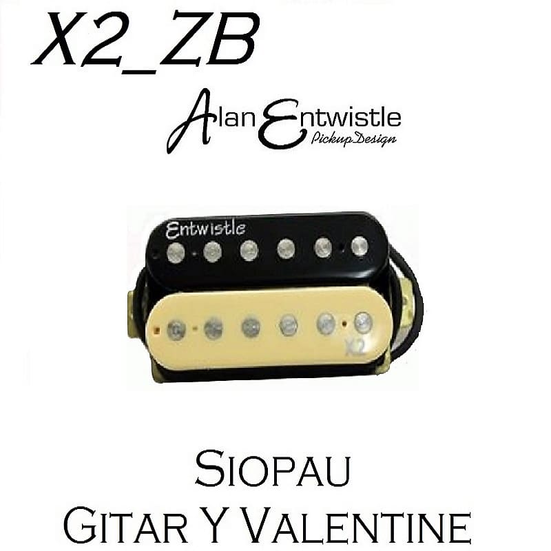 Alan Entwistle X2 Humbucker Bridge Black Zebra | Reverb