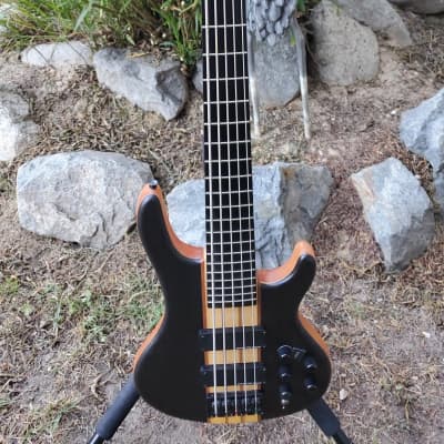 Wolf S10-5 5 String Bass Guitar - Dark Walnut 7 Piece Neck w/ | Reverb
