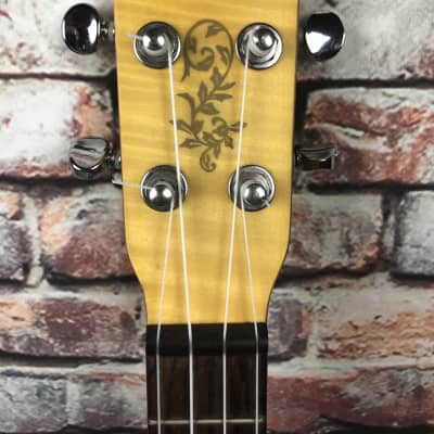 Eleuke MP3 Electric Ukulele w/gigbag | Reverb