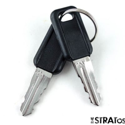 Fender American Professional II Strat -ABS HARDSHELL CASE & | Reverb