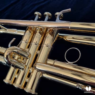 Yamaha Custom 8335 LA Wayne Bergeron trumpet case mouthpiece | Reverb