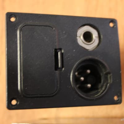 Ibanez SST Fishman Acoustic Guitar Preamp | Reverb