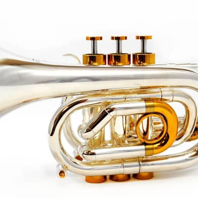 Schiller CenterTone Pocket Bb Trumpet - Silver & Gold Plated | Reverb
