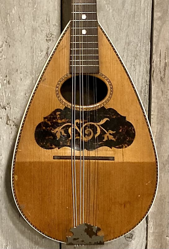 Beautiful Bowl Back Mandolin with Original case New tuners | Reverb