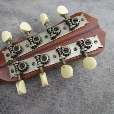 Washburn Model 640 Banjolin 1940's Original Clean set up | Reverb