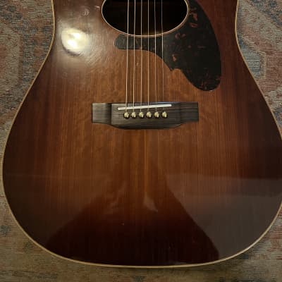 1980s Daion “The 80” Sunburst Acoustic Guitar w/ pickup and | Reverb