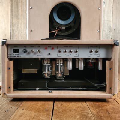 Amplified Nation Steel String Sultan 6550 Loaded 75-Watt Head | Reverb