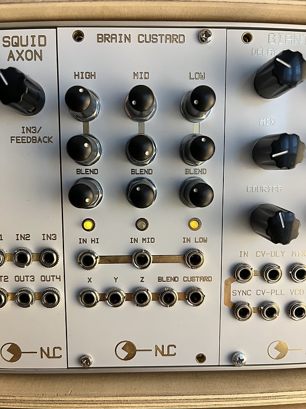 Nonlinear Circuits Brain Custard | Reverb