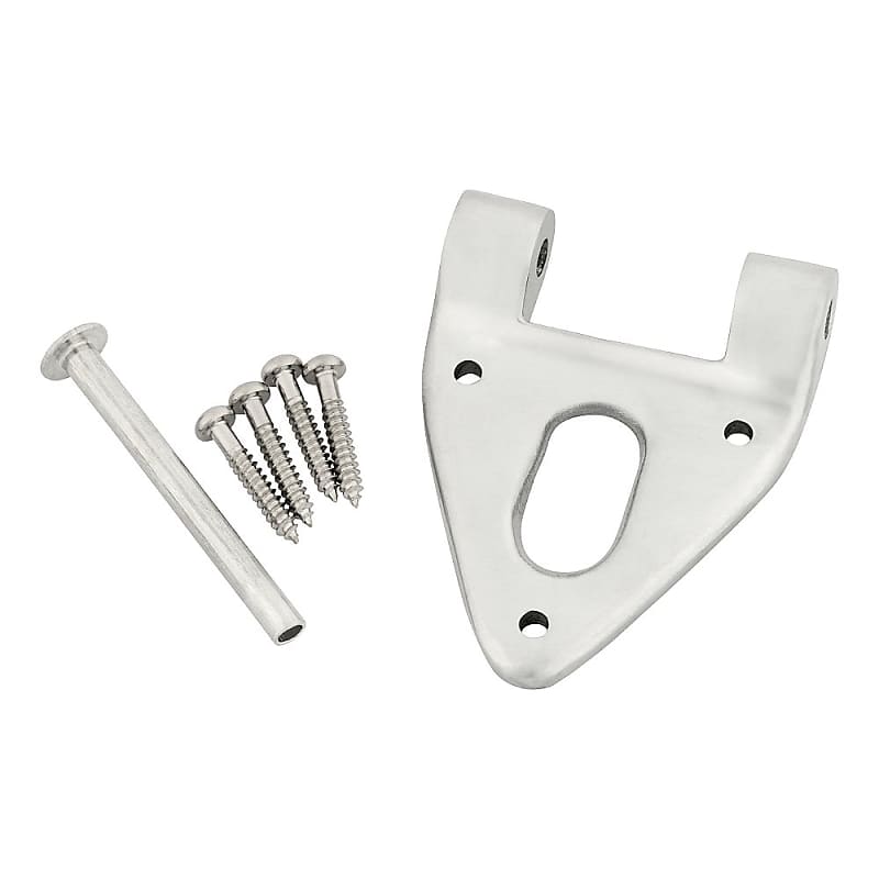 Bigsby Conventional B6 Hinge with Hinge Pin and Screws for | Reverb