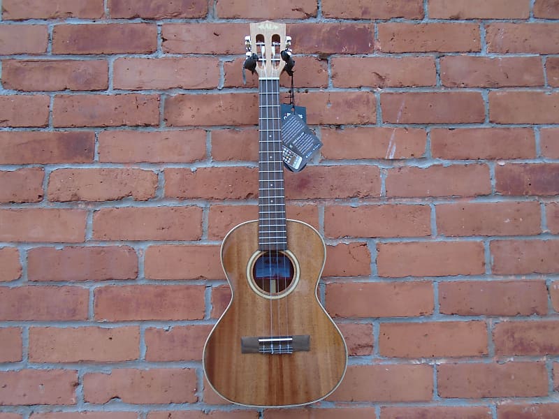 Kala KA-SMH-TG w/free bag | Reverb