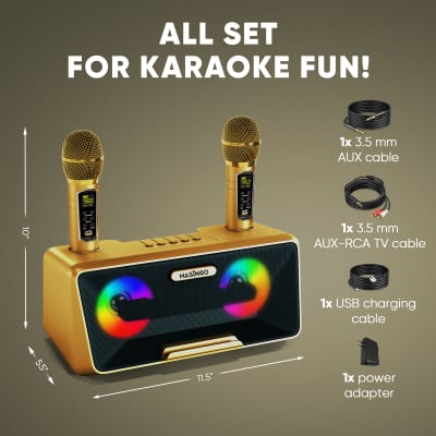 MASINGO Karaoke Machine for Adults and Kids with 2 UHF | Reverb