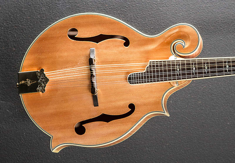 Alvarez F Style Mandolin, Recent | Reverb