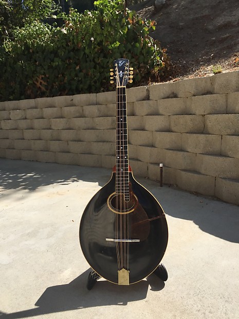 Gibson Mandocello k-2 1912 Superb sounding instrument | Reverb UK