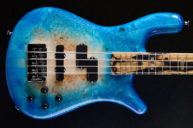 Spector NS 4 2023 - Maple Burl Top, Desert Island | Reverb