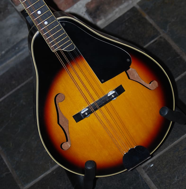 Lotus Mandolin LM-6 | Reverb