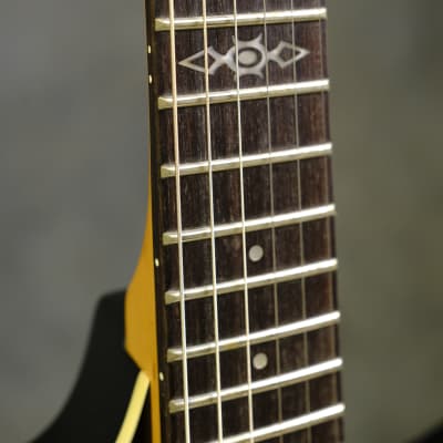 Schecter Tempest 2019 One of a Kind Custom Finish RARE Art | Reverb