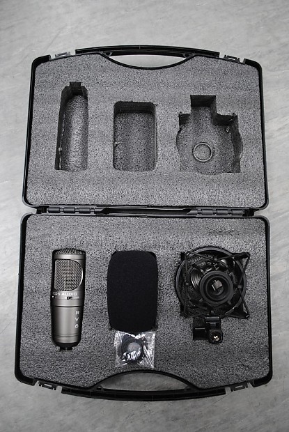 Red5 Audio RV6 Condenser Microphone with Case | Reverb