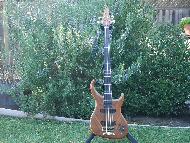 Alembic Orion 5 string | Reverb