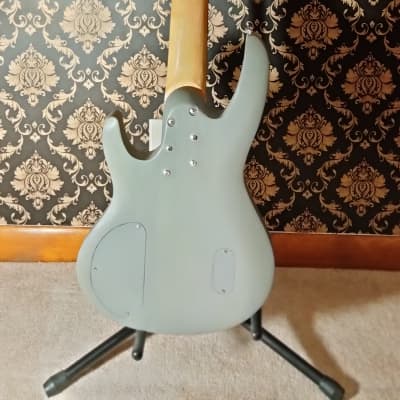 ESP LTD B-105 5 String Custom Jazz Bass | Reverb